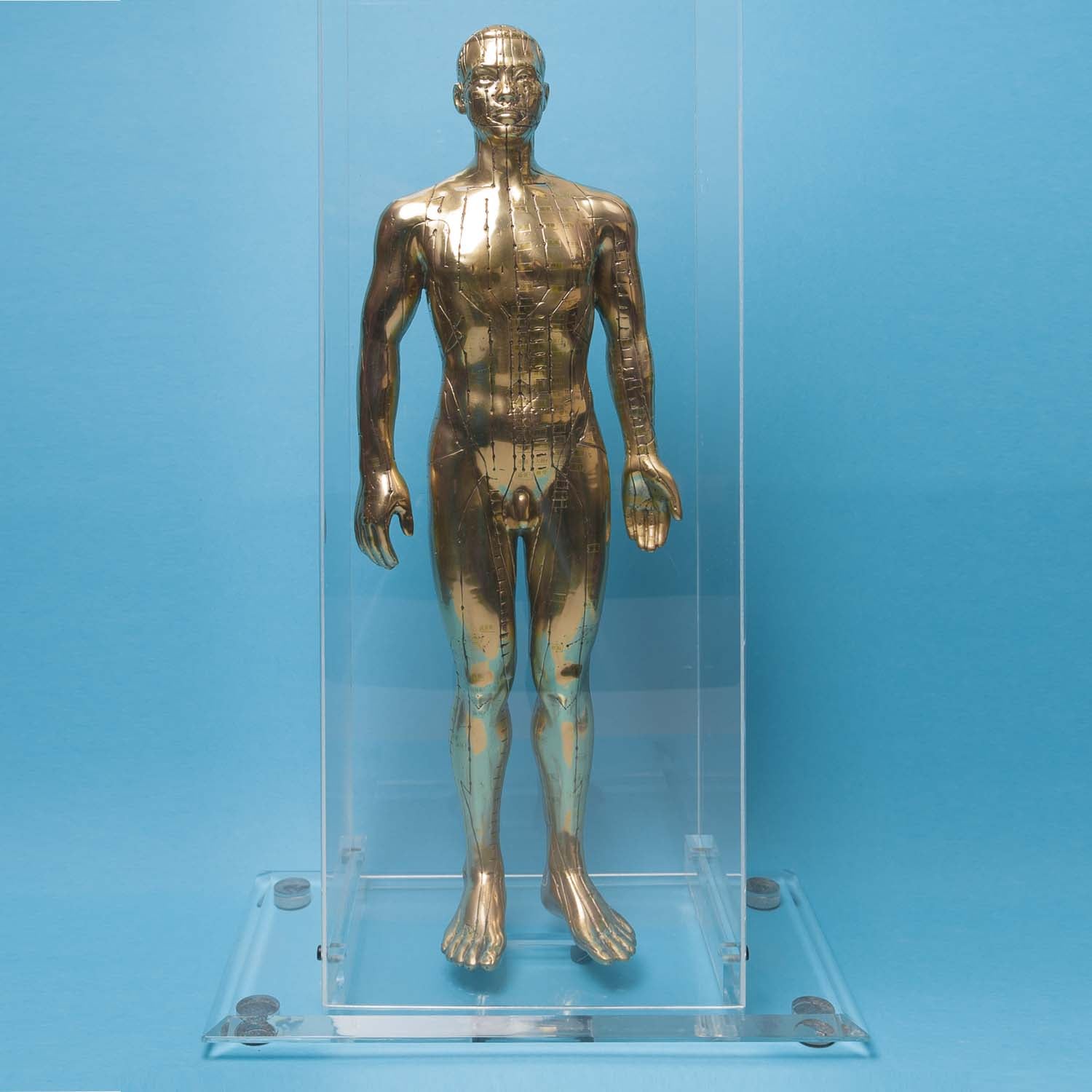 Human Body Model Showing Acupoints经络铜人JingLuoTongRen | TCMshops