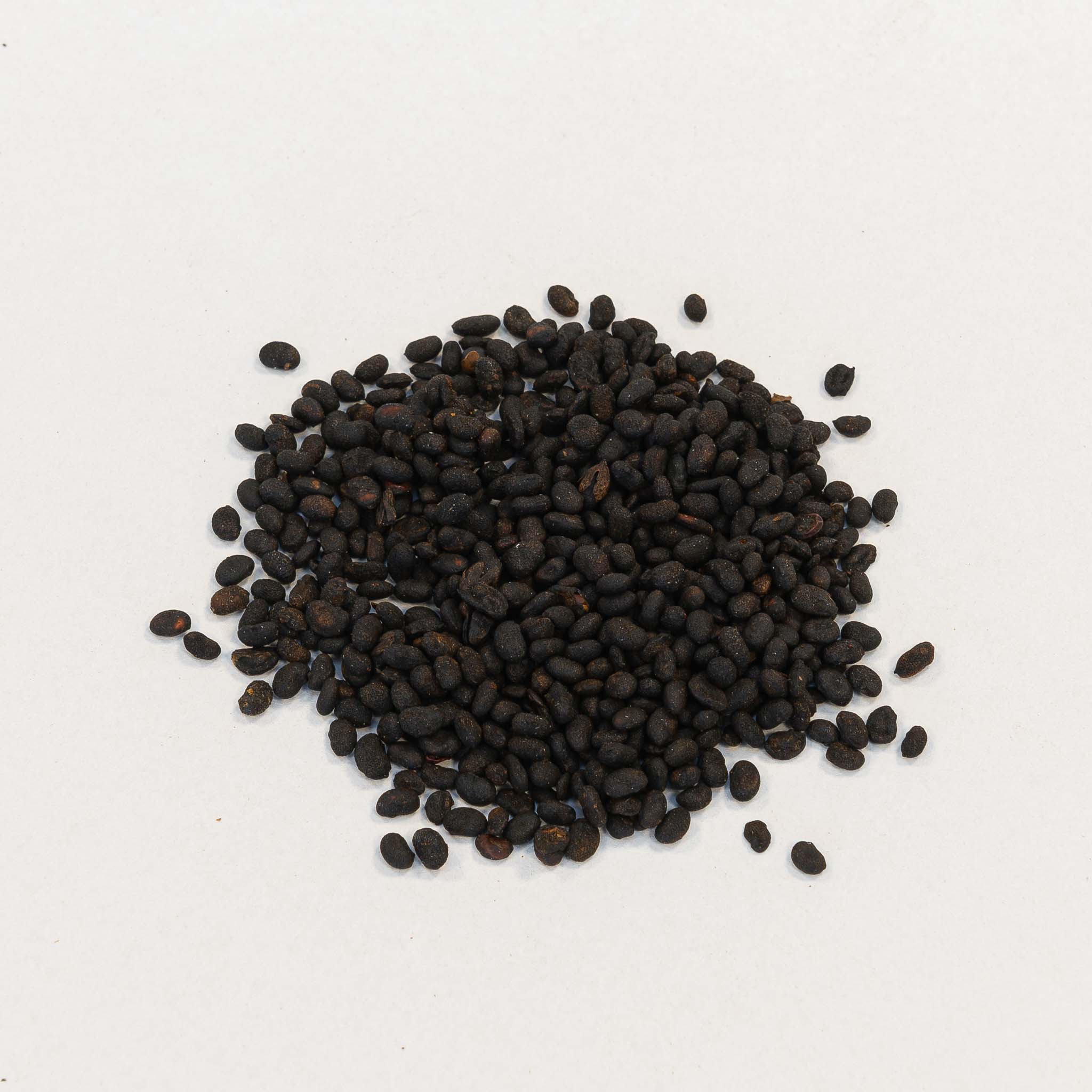 Fructus Psoraleae补骨脂BuGuZhi | TCMshops