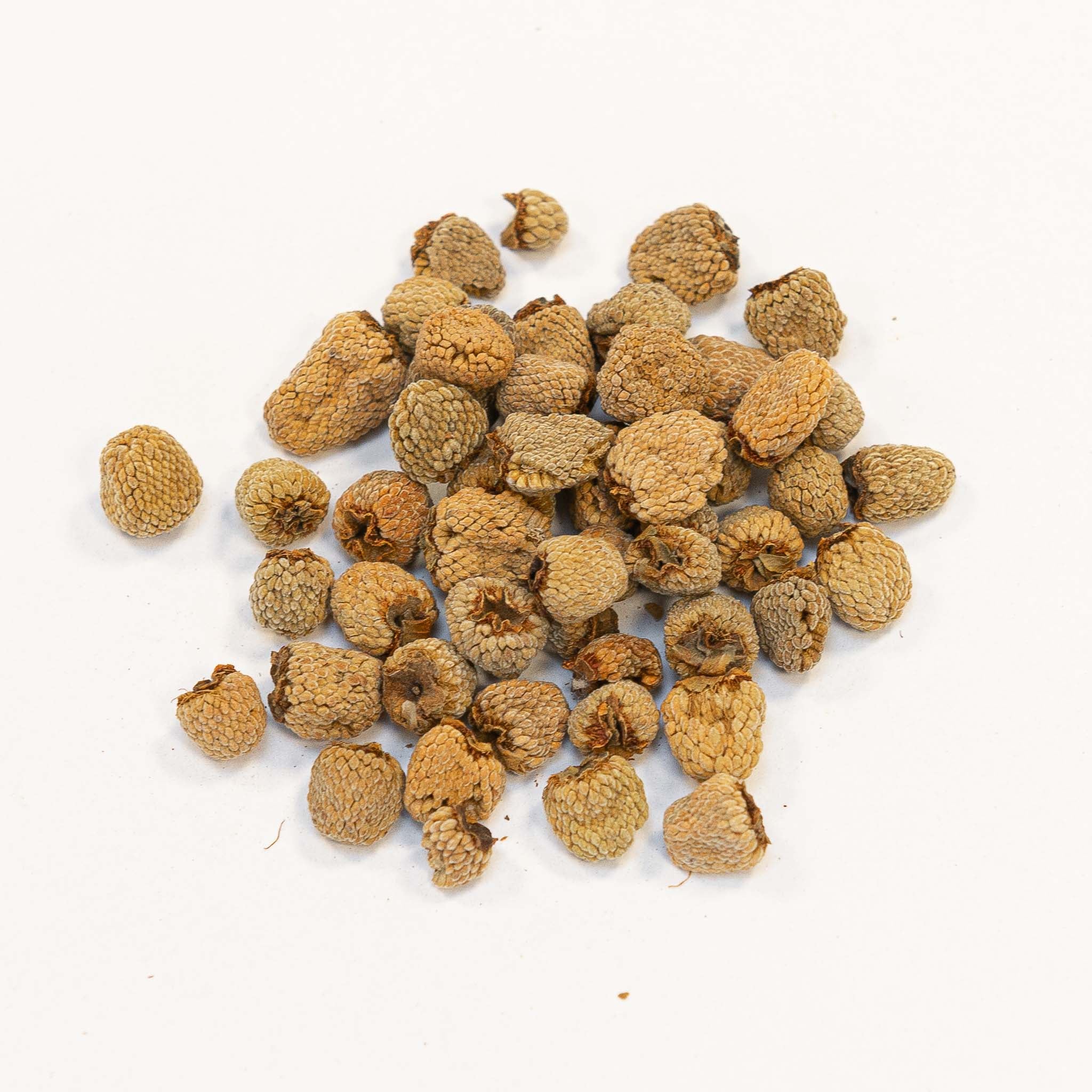 Fructus Rubi覆盆子FuPenZi | TCMshops