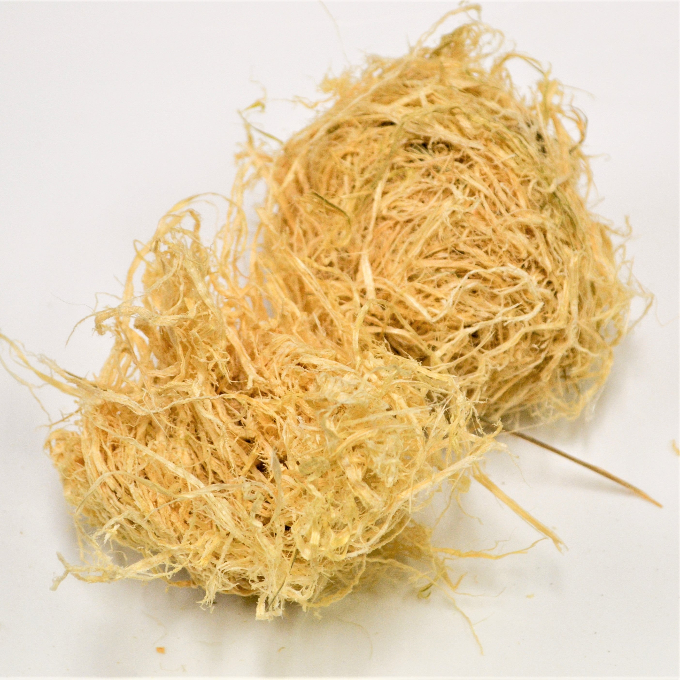 Caulis Bambusae In Taeniam (Bundle)竹茹（扎）ZhuRu(Zha) | TCMshops